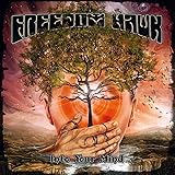 Freedom Hawk - Sunlight - Amazon.com Music