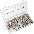 Amazon.com: Performance Tool W5251 Rivet Assortment (120pc SAE Threaded ...
