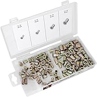 Amazon.com: Performance Tool W5251 Rivet Assortment - 120pc SAE ...