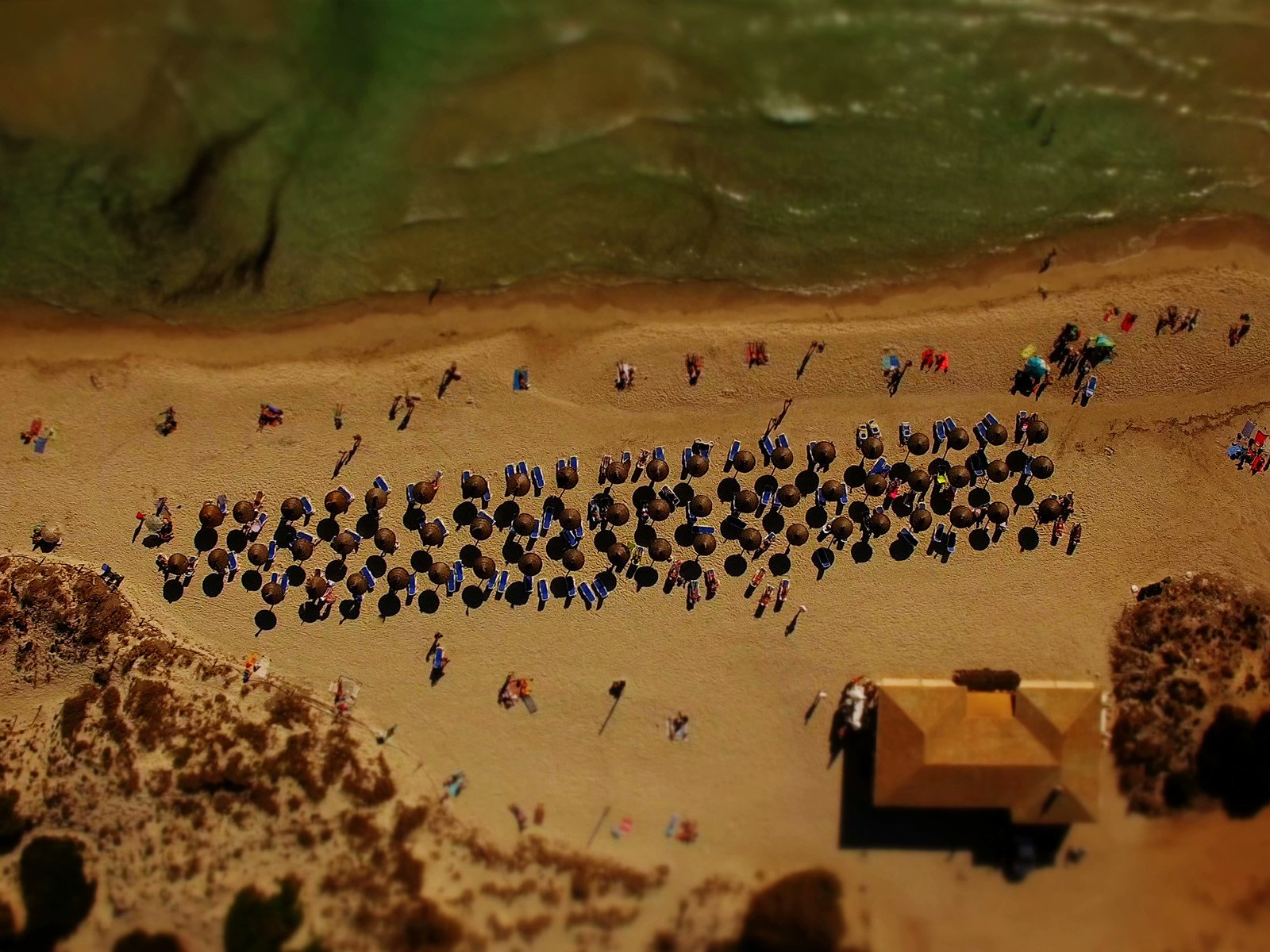 Watch Little Big World | Prime Video