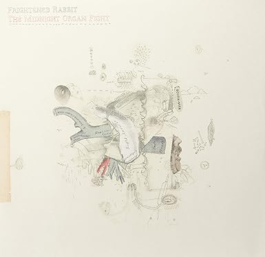 Midnight Organ Fight: 10th Anniversary (Vinyl): Frightened Rabbit ...