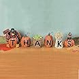 Amazon.com: Resin "Give Thanks" Blocks (Set of 6) Fall Home Decor ...