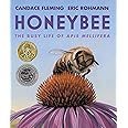 Amazon - Honeybee: The Busy Life of Apis Mellifera: Fleming, Candace ...