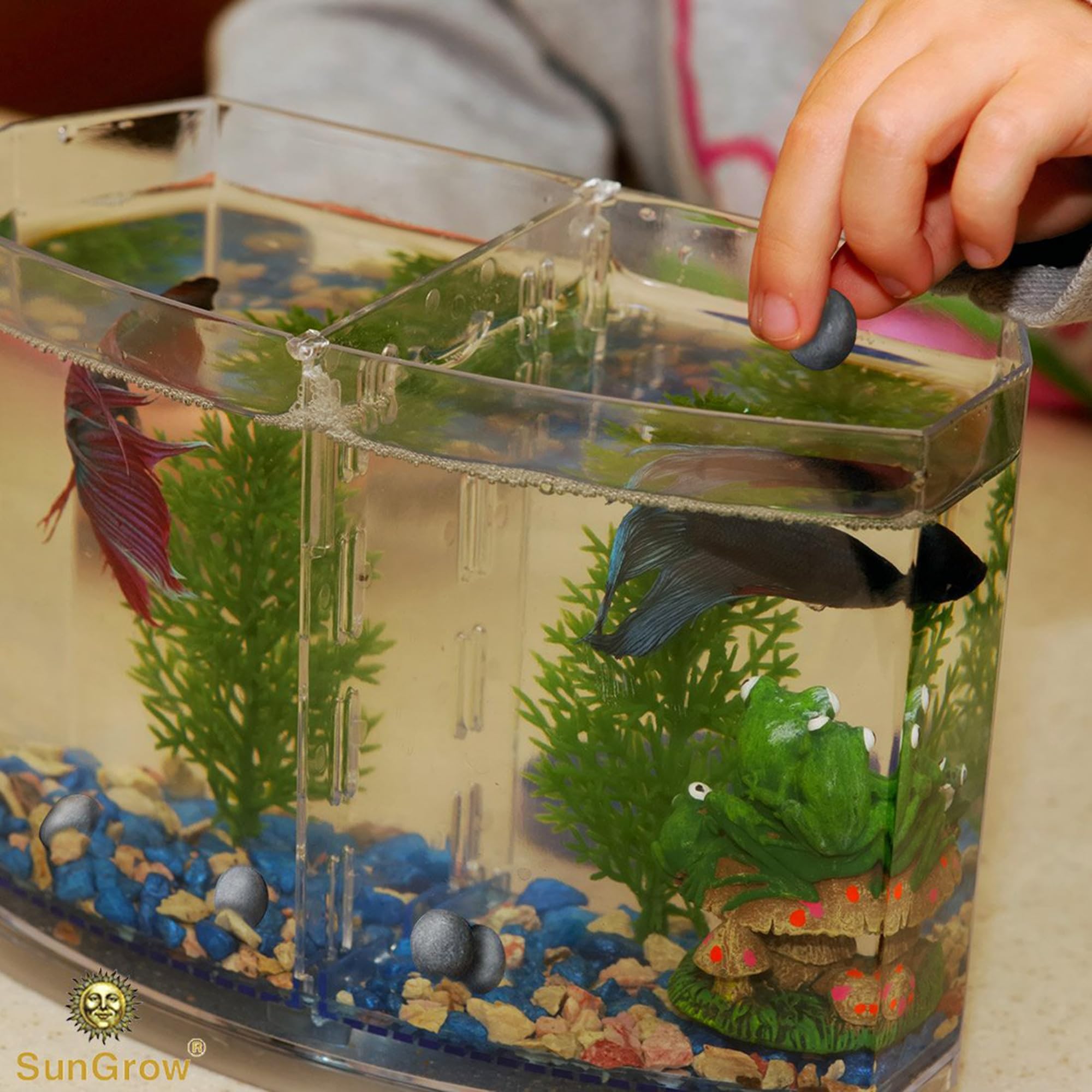 Mua SunGrow Calcium-Rich Balls for Betta, Water Conditioner with Over ...