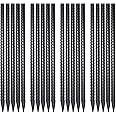Amazon.com : AAGUT Rebar Stakes 24 Inch Straight Garden Plant Stakes ...