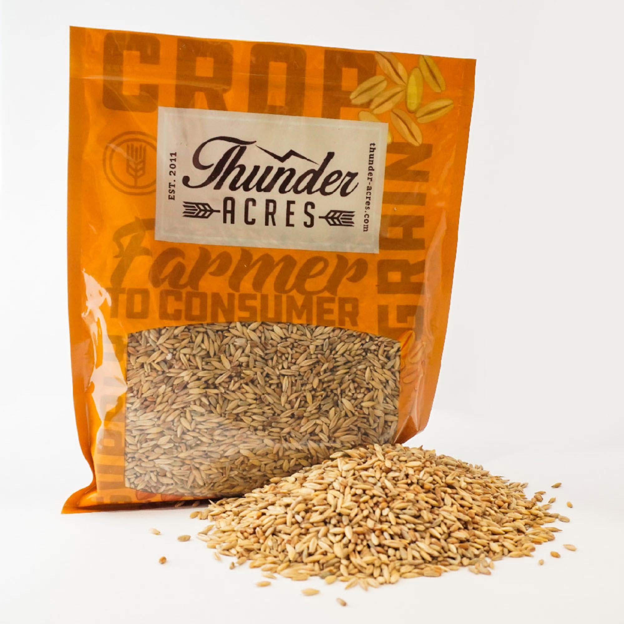 Thunder Acres Cat Grass Blend - Wheat, Barley, Oats, and Rye Seed Mix ...