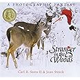 Stranger in the Woods: A Photographic Fantasy: Sams, Carl R., Stoick ...
