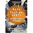 When Helping Hurts: The Small Group Experience: An Online Video-Based ...