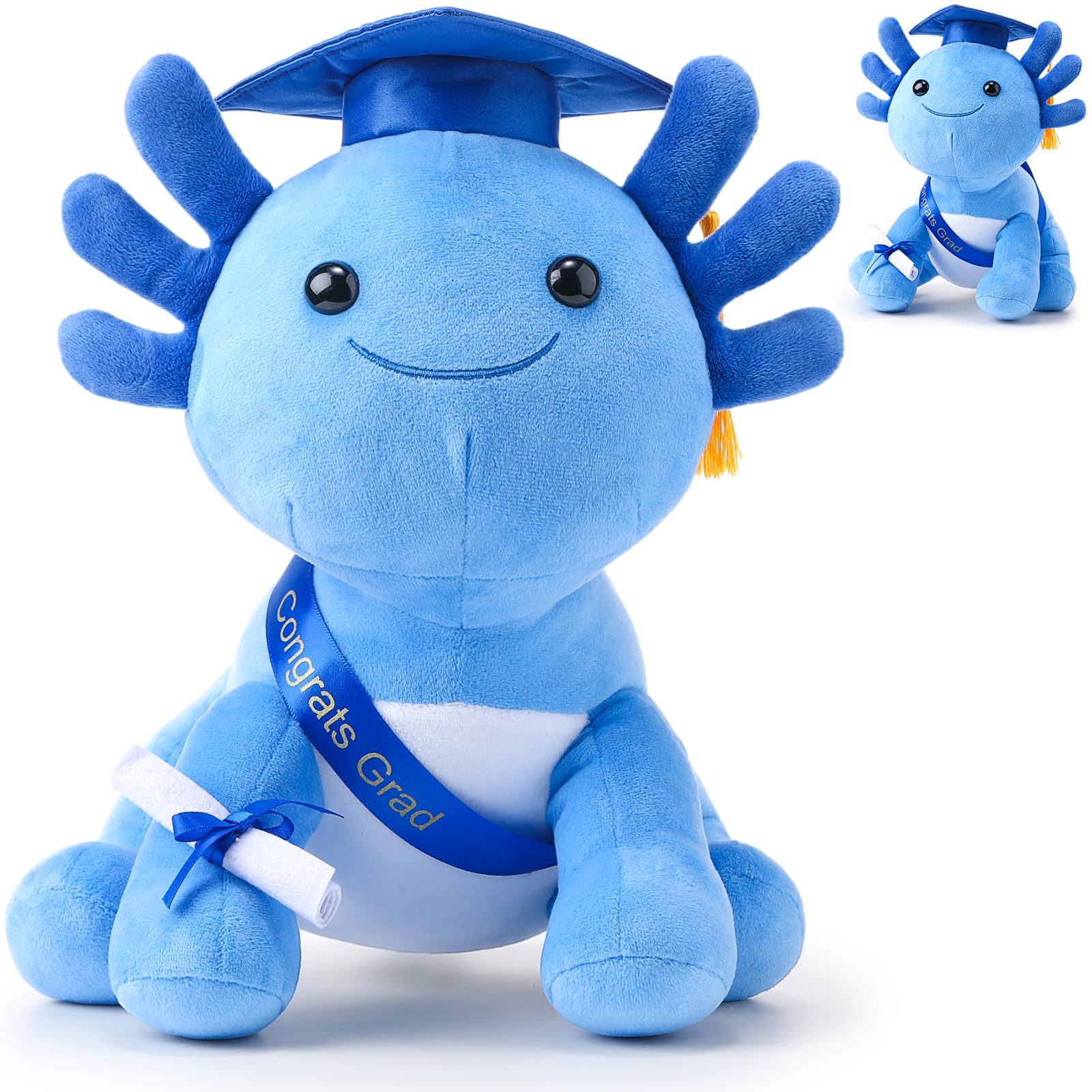 HyDren 10 Inch Graduation Axolotl Plush Stuffed Animal Axolotl Stuffed ...