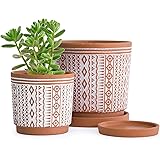 Amazon.com : Set of 2 Terracotta Pots, 4 Inch & 6 Inch, Planter Pots ...