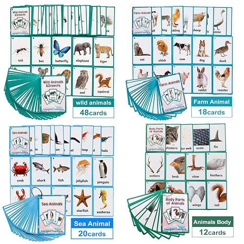 Zwttey Wild/Farm/Sea Animals Body Parts Learning English Flash Cards ...