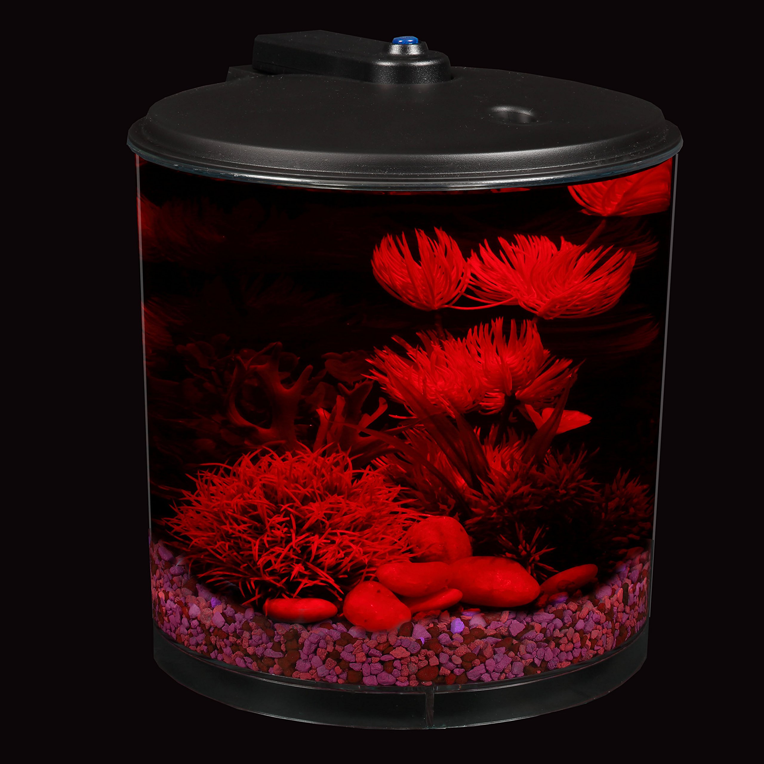 Koller Products AquaView 2-Gallon 360 Aquarium with Power Filter & LED ...
