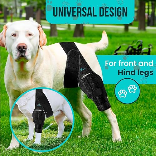 Knee Brace Dog For Support With Cruciate Ligament Injury Patella ...