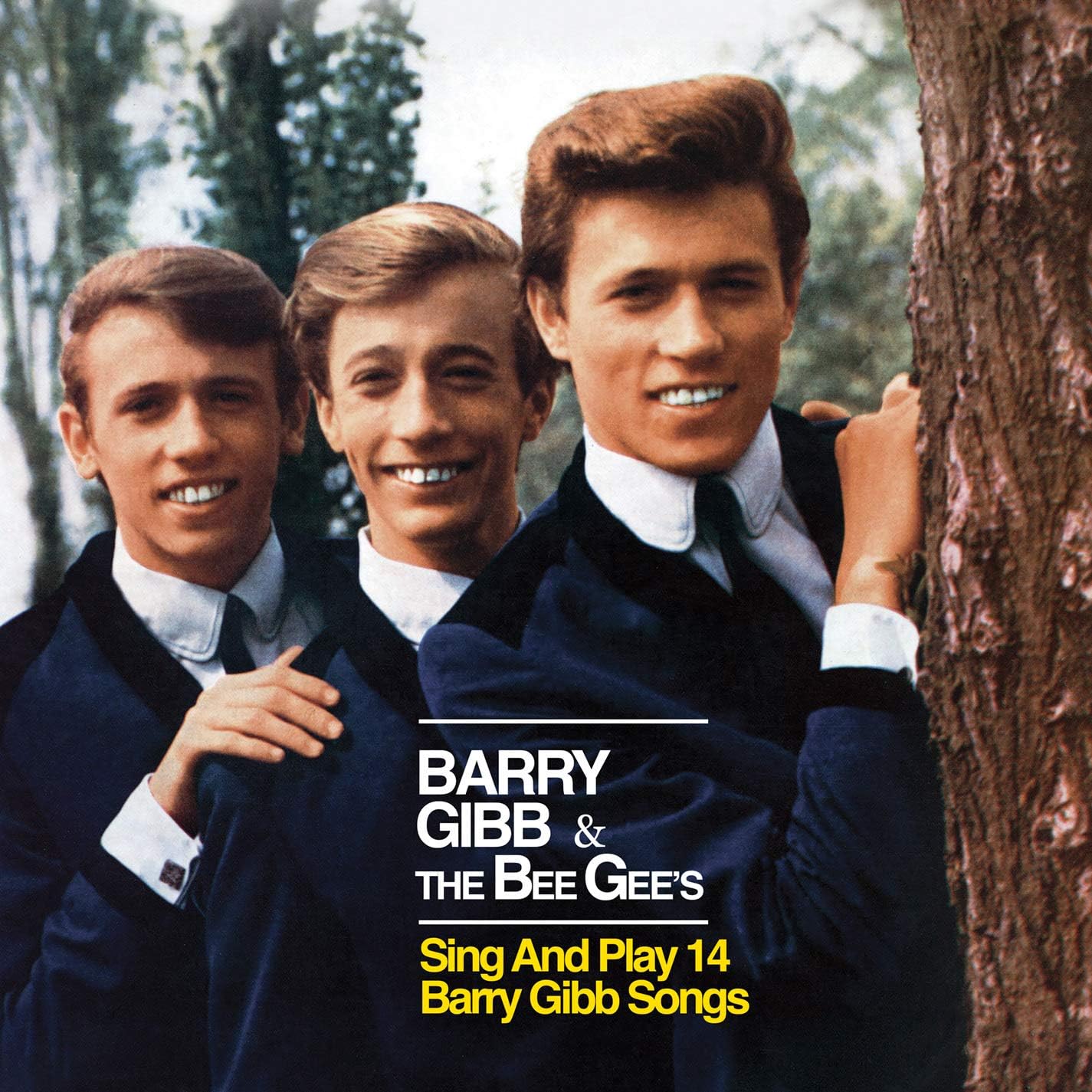 Barry Gibb & The Bee Gees Sing & Play 14 Barry Gibb Songs - Amazon.co.jp