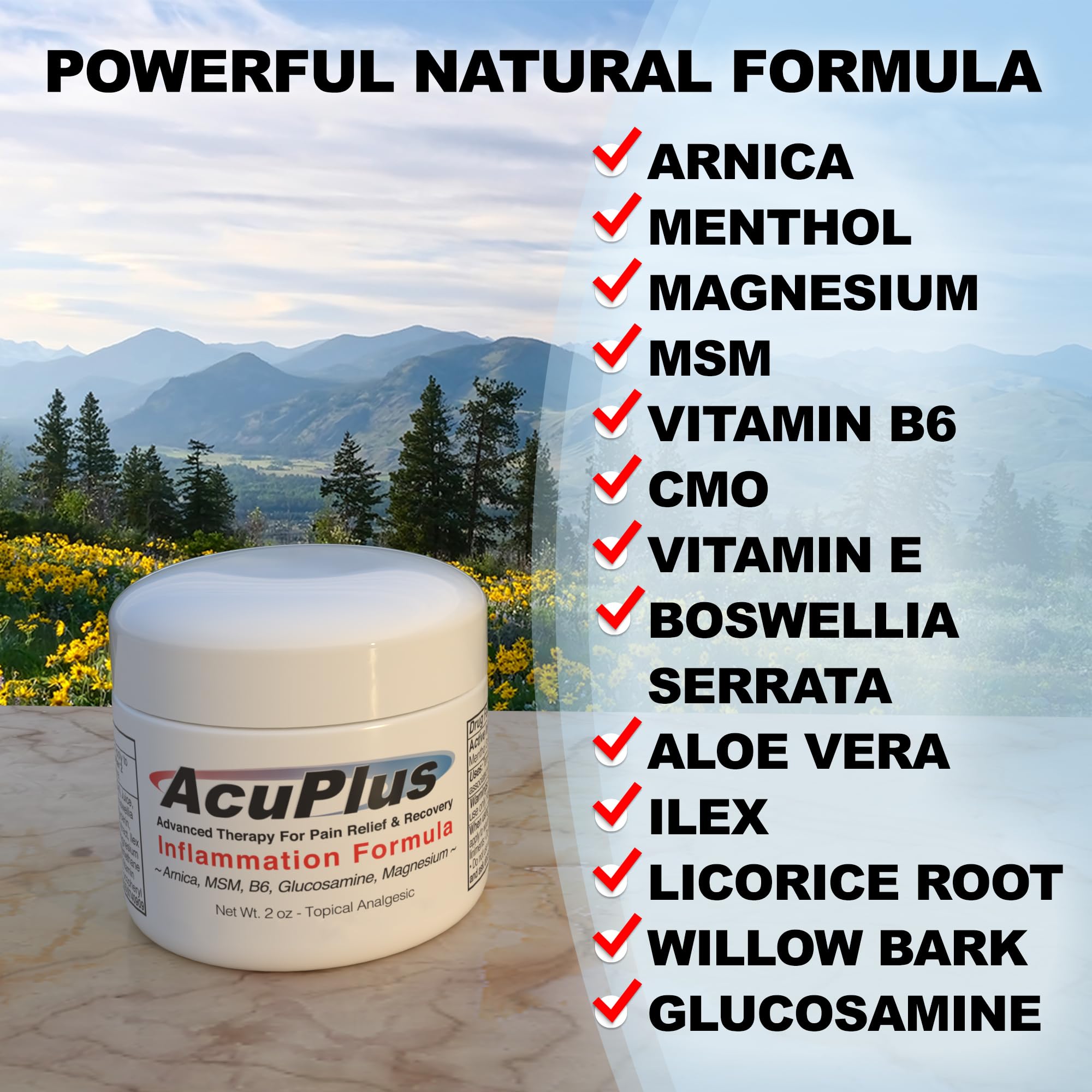 Mua AcuPlus - Advanced Pain Relief Topical Anti Inflammatory Cream to ...