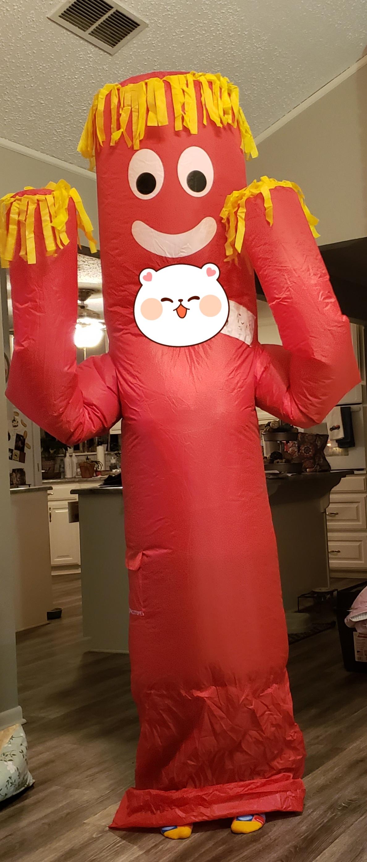 $8/mo - Finance Morph Inflatable Tube Man Costume Adult Wavy Arm Blow ...