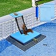 Amazon.com : PEEH Pool Animal Saving Escape Ramp, Frog Saver for ...