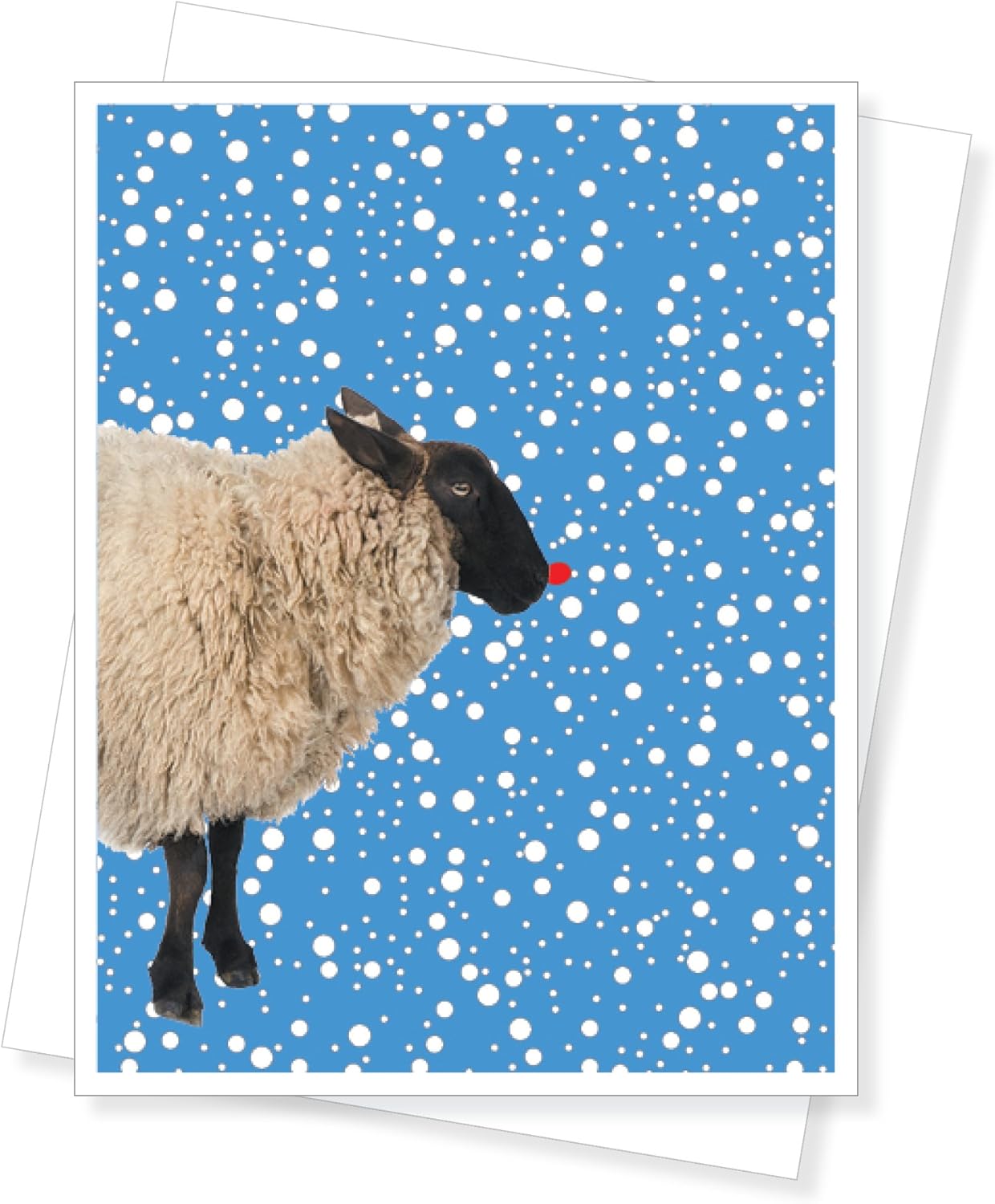 Amazon.com: Apartment 2 Cards Holiday Sheep Holiday Cards, 10 Cards Per ...