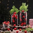 Amazon.com: Wavwavw 200 Pcs Christmas Artificial Cranberries for Vase ...
