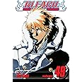 Amazon.com: Bleach, Vol. 49: The Lost Agent: 9781421543024: Kubo, Tite ...