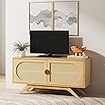 Amazon.com: Nathan James Logan Modern Rattan TV Stand Entertainment ...