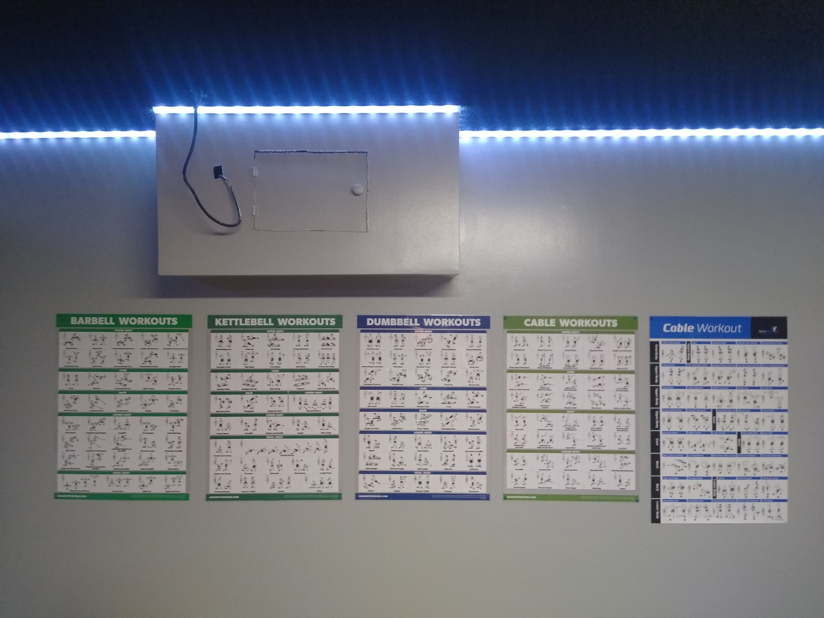 $2/mo - Finance NewMe Fitness Workout Posters for Home Gym - Cable ...