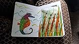 Mister Seahorse: board book (World of Eric Carle): Carle, Eric, Carle ...