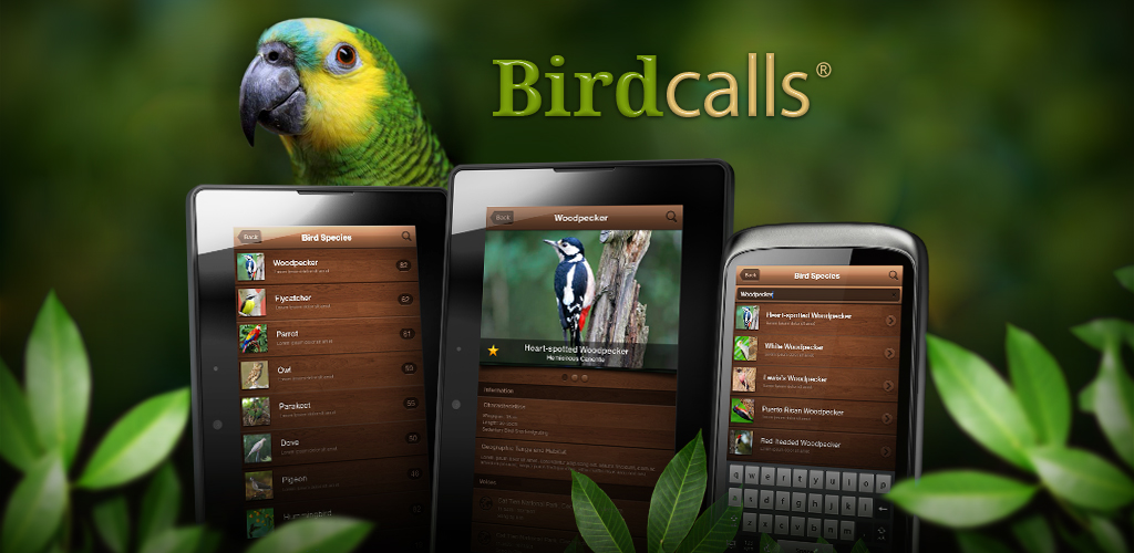 Amazon.com: Bird Calls - Bird Guide with 2000+ Bird Songs & Sounds ...