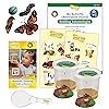 Insect Lore Two Cups of Caterpillars with Dual Lens Magnifier ...