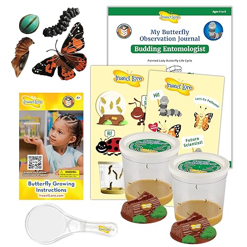 Insect Lore Two Cups of Caterpillars with Dual Lens Magnifier ...