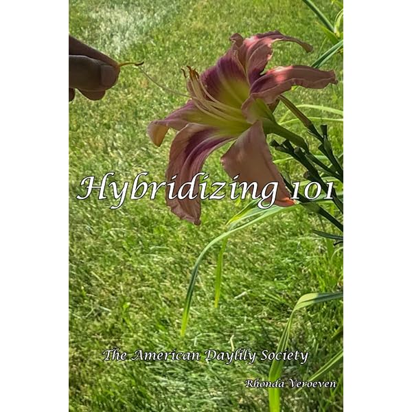 Hybridizing Daylilies: A Comprehensive Guide - My Heart Lives Here