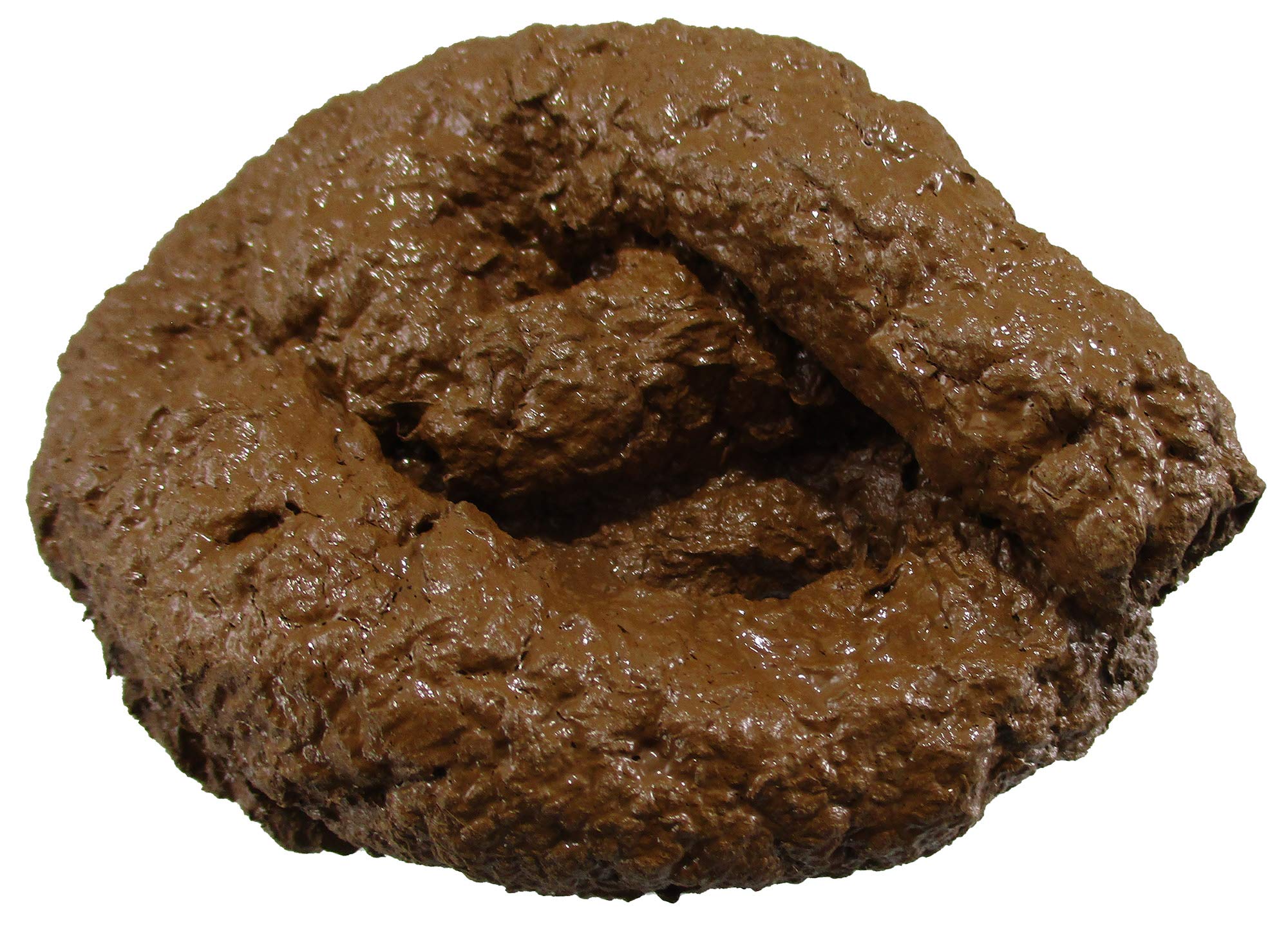 Mua Nicky Bigs Novelties Deluxe Fake Dog Poop Crap Pile - Realistic ...
