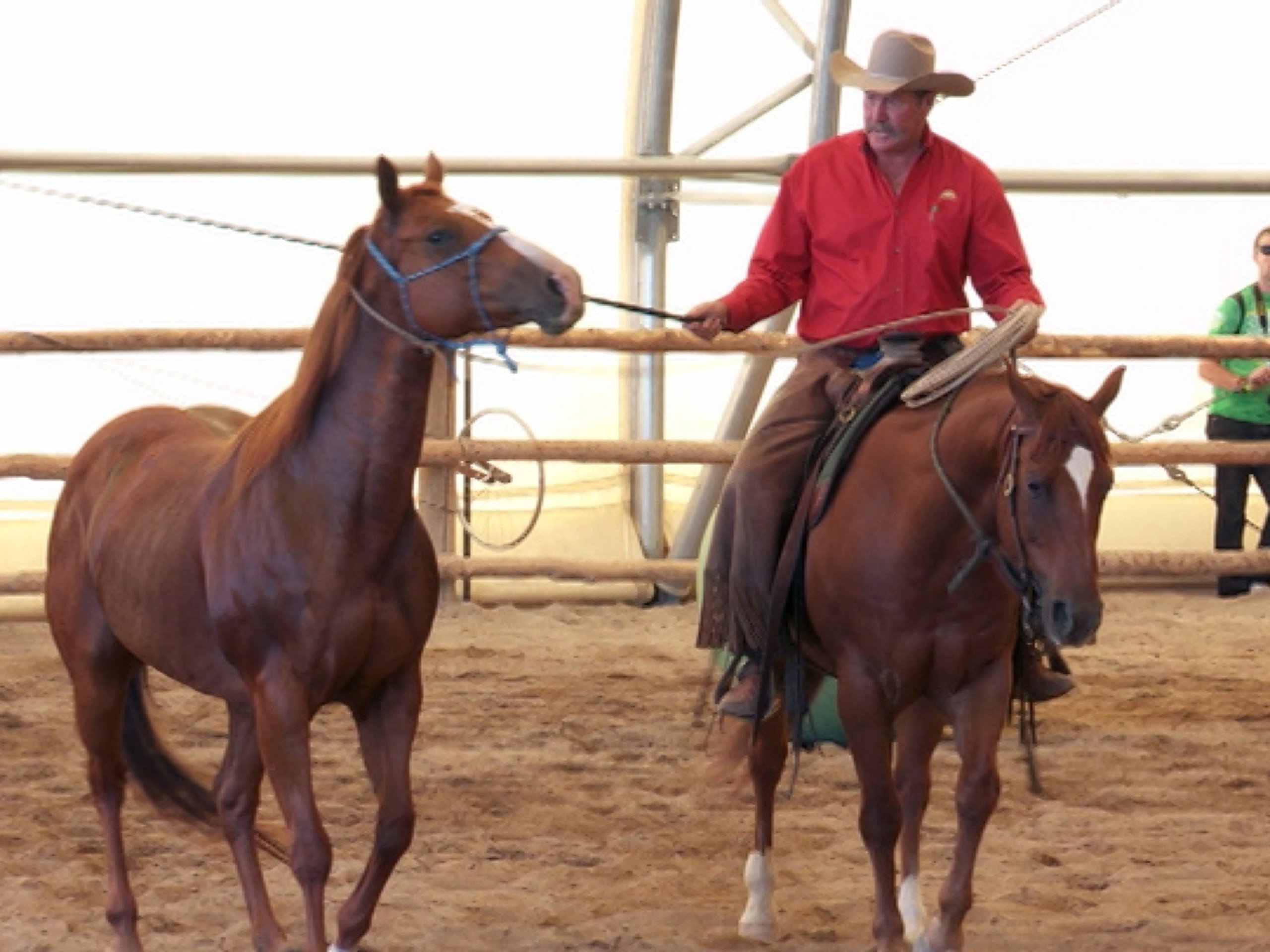 Watch Parelli: Natural Horsemanship | Prime Video