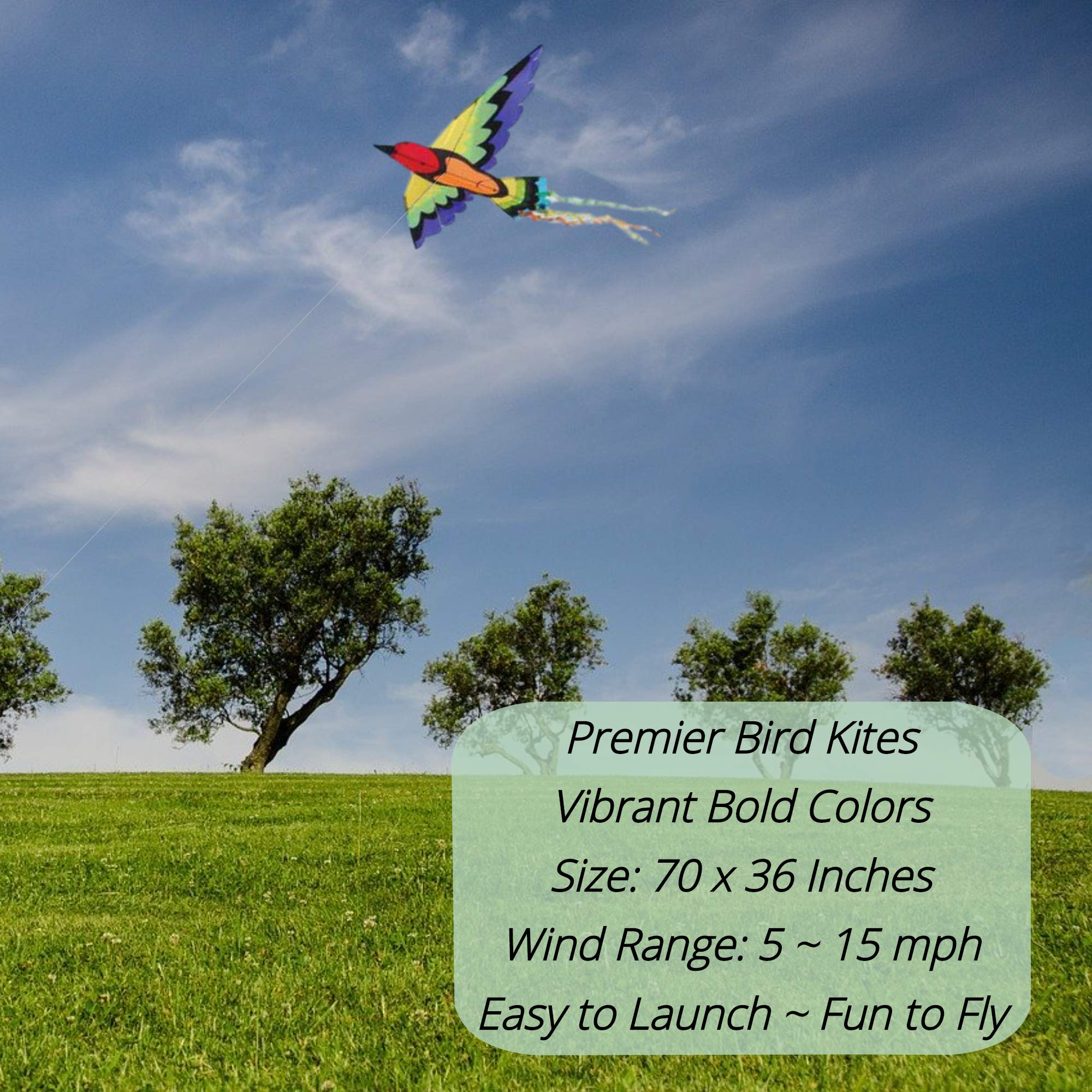 Mua Premier Kites Rainbow Bird Kite are Great Kites for Adults and Easy ...