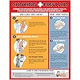 Amazon.com: Performore Choking Poster with a Magnetic Back - for Infant ...