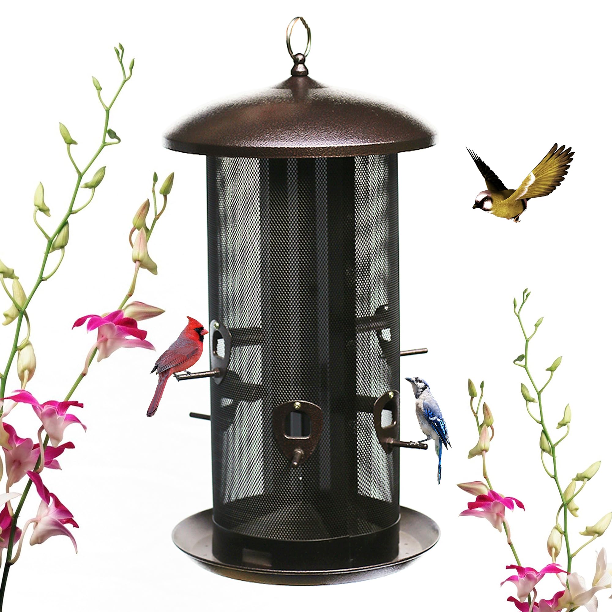 Nature's Rhythm Metal Hopper Bird Feeder Two Chambers?Heavy Duty Mesh ...