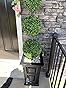 Amazon.com - Bornbridge Artificial Boxwood Topiary Ball Tree - 4 ...