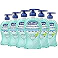 Amazon.com : Softsoap Antibacterial Liquid Hand Soap, Fresh Citrus - 11 ...