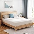 Amazon.com: SynthoSpace Queen Mattress 10 Inch Green Tea Memory Foam ...