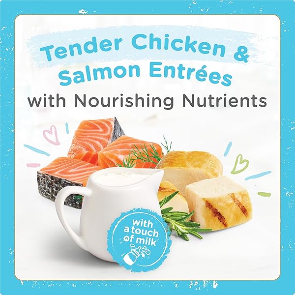 PURINA FANCY FEAST PETITES KITTEN TENDER PATE GOURMET WET KITTEN FOOD ...