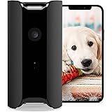 Amazon.com : Canary View Indoor Home Security Camera, 1080p HD, 2-Way ...