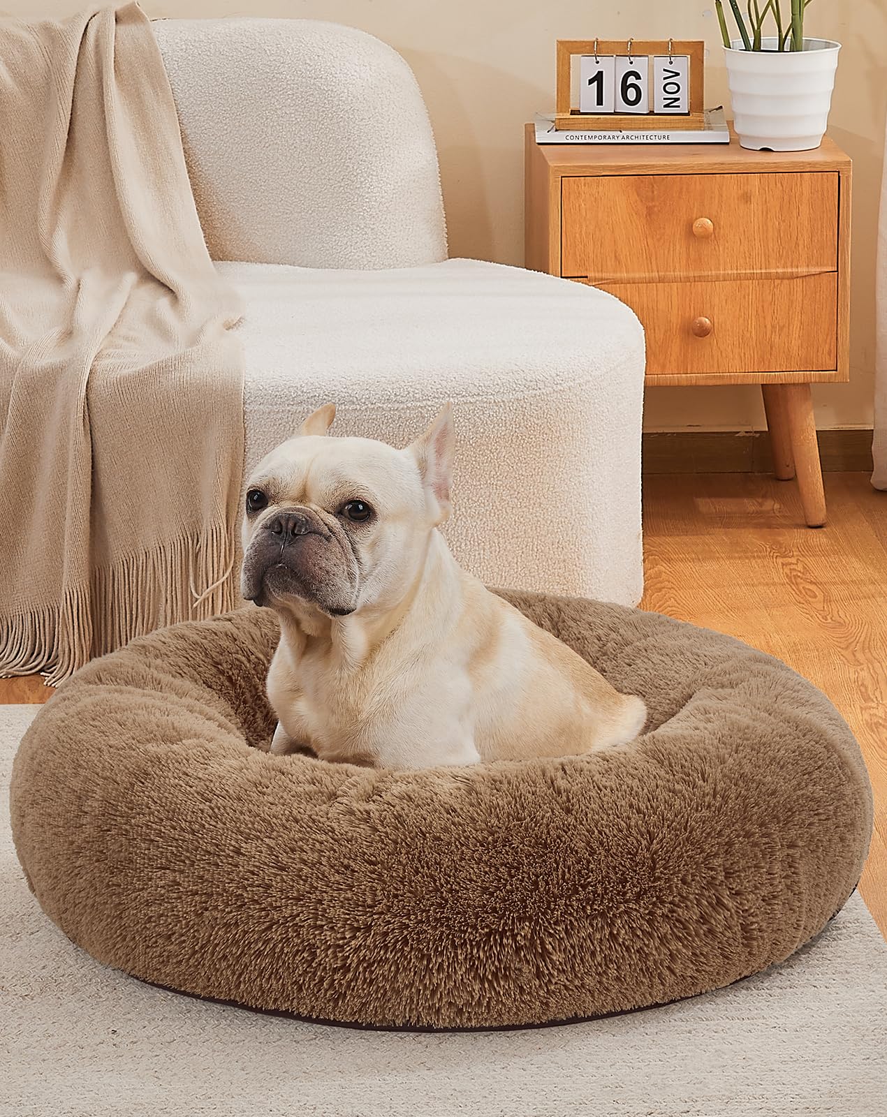 OhGeni Calming Donut Dog Bed Pillow for Medium Pets, Machine Washable ...