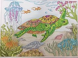 Amazon.com: Color Me Your Way (9781450781763): Pamela Smart: Books