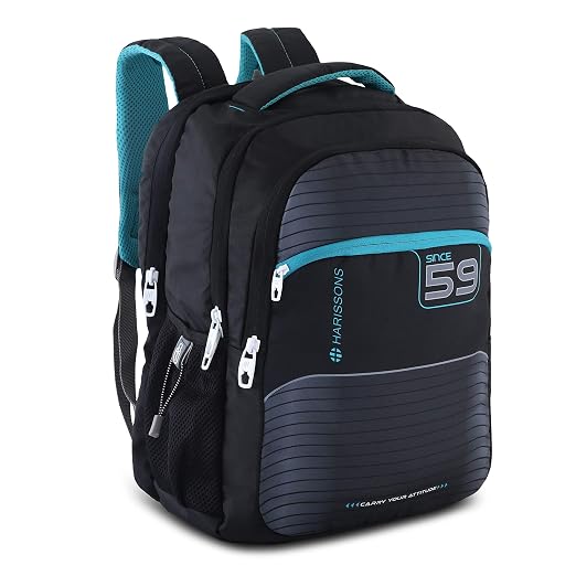 Buy Harissons Bags Explorer 29L Polyester Casual Backpack for Men and ...