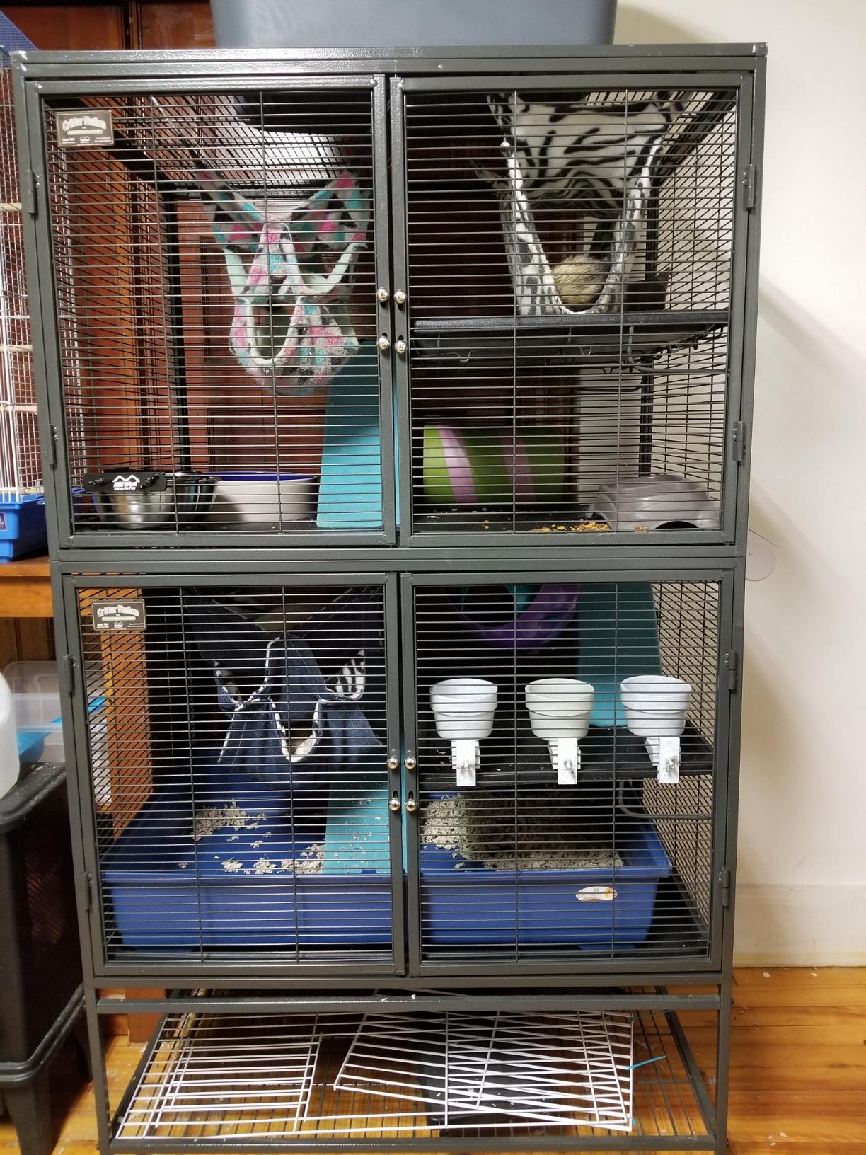 $10/mo - Finance MidWest Homes for Pets Deluxe Critter Nation Double ...