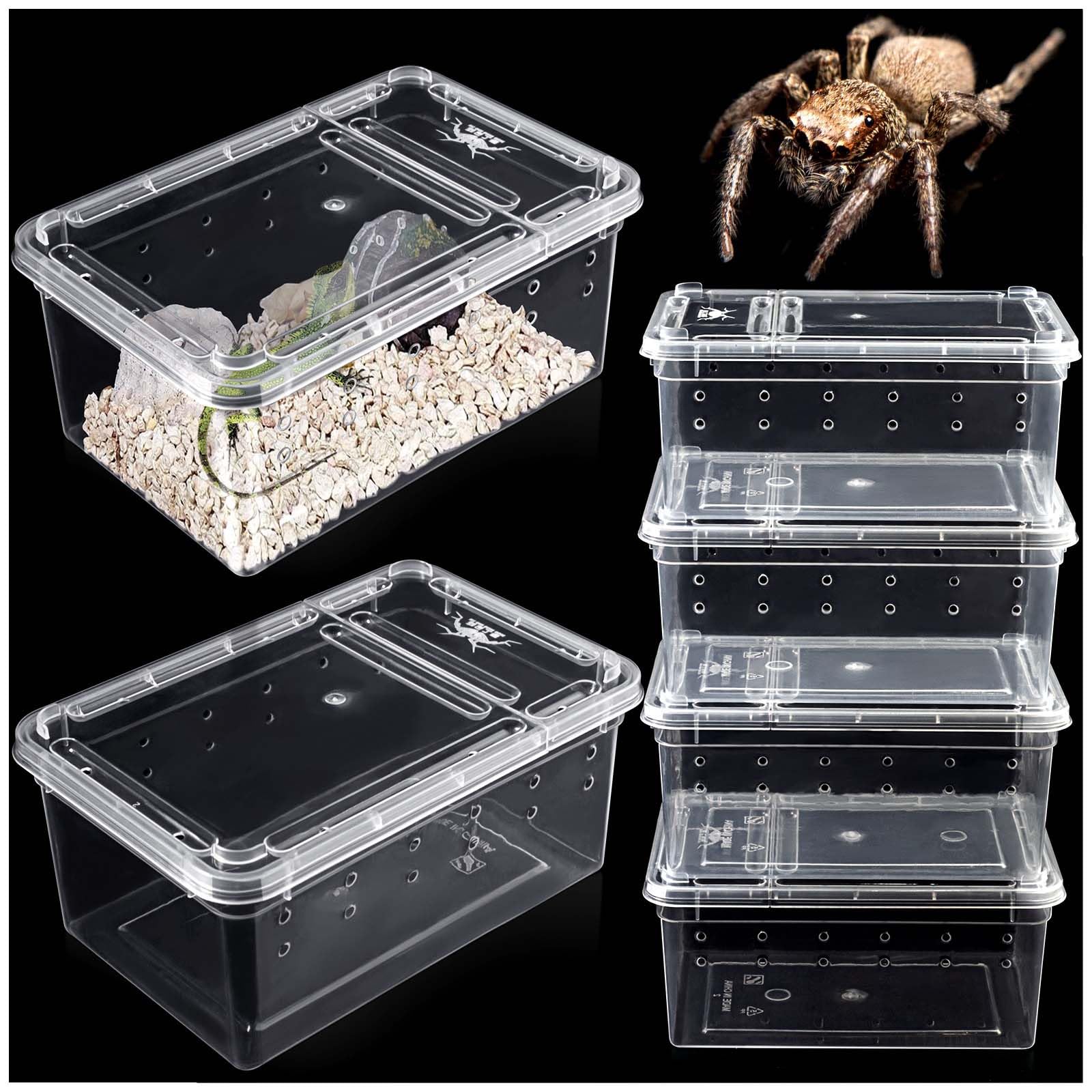 Mua 6 Pcs Spider Terrariums Breeding Box Insect Container Transparent ...