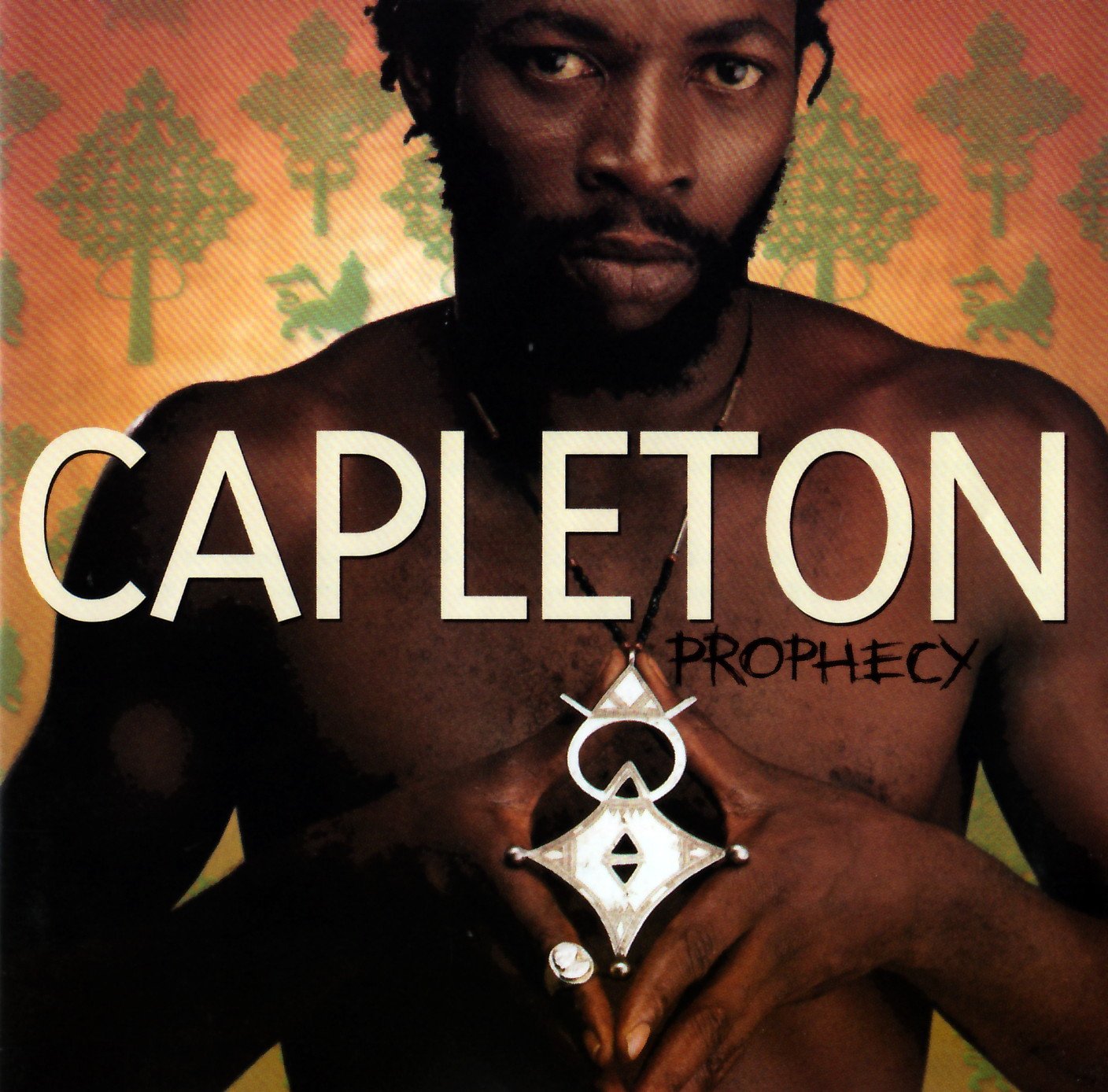 Prophecy: Capleton, Capleton, Method Man: Amazon.fr: CD et Vinyles}