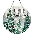 Amazon.com: Deroro Winter Welcome Sign for Front Door Decor, Winter ...