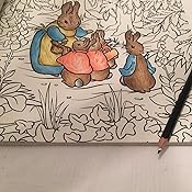 The Beatrix Potter Colouring Book: Amazon.co.uk: Beatrix Potter ...