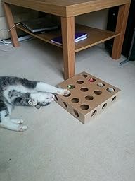 Unique Design - Interactive Indoor Cat Toy Puzzle Box - As Seen on ...